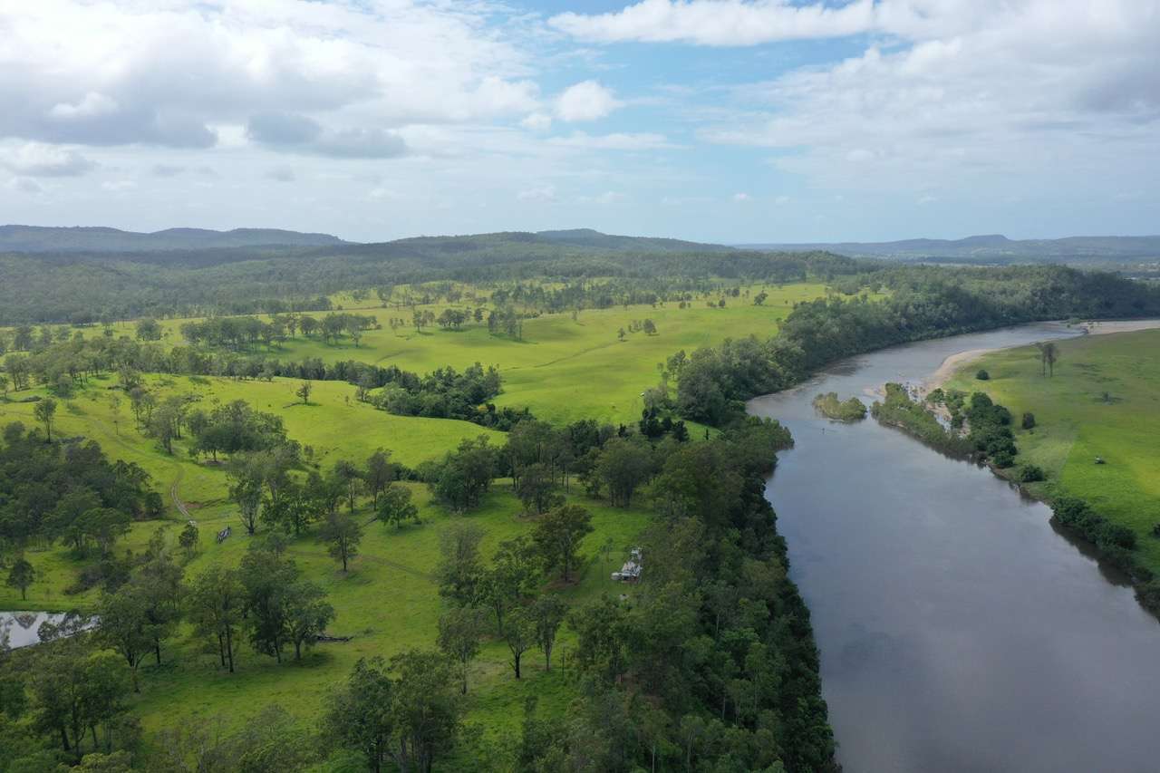 Discover Bizzy Brahmans: Red Brahman Stud Near Grafton