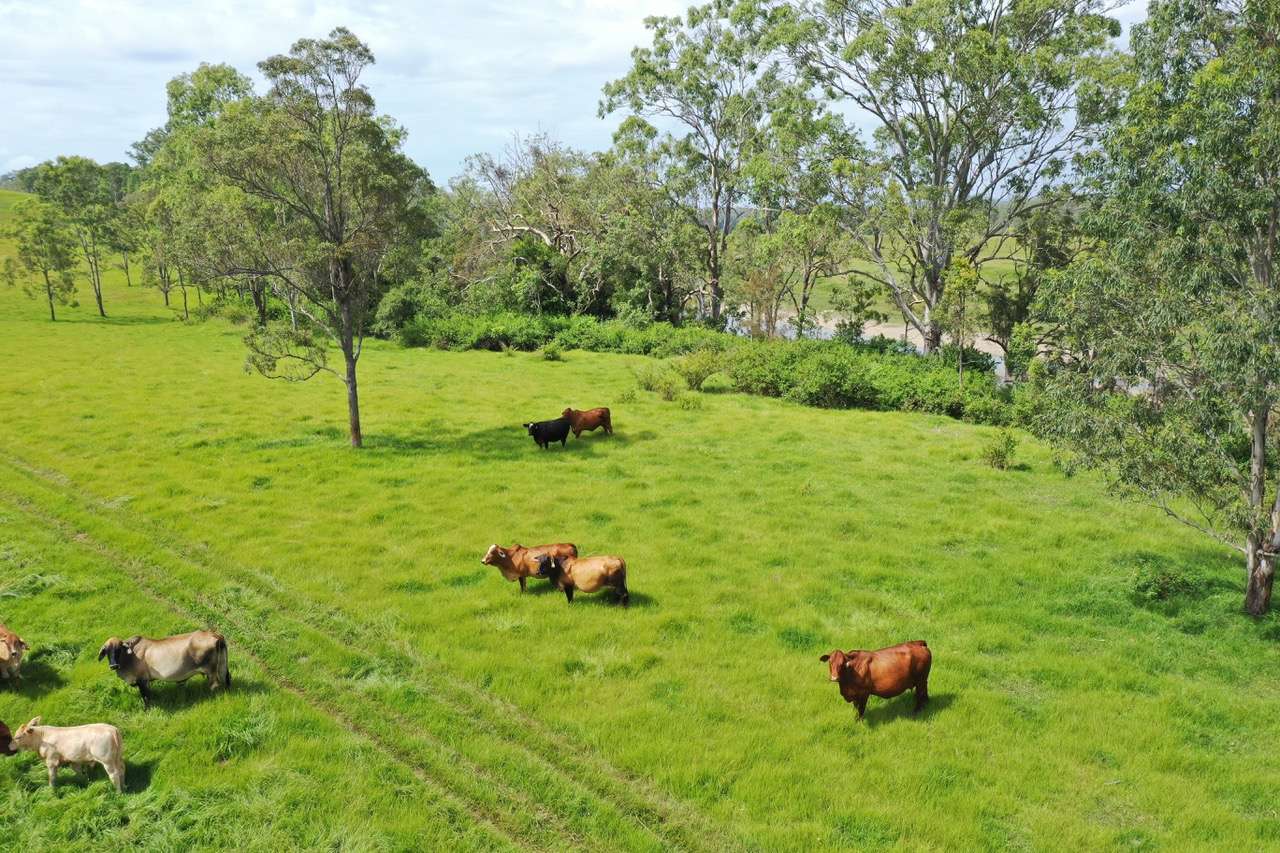 Bizzy in the hands of the next generation - Bizzy Brahmans