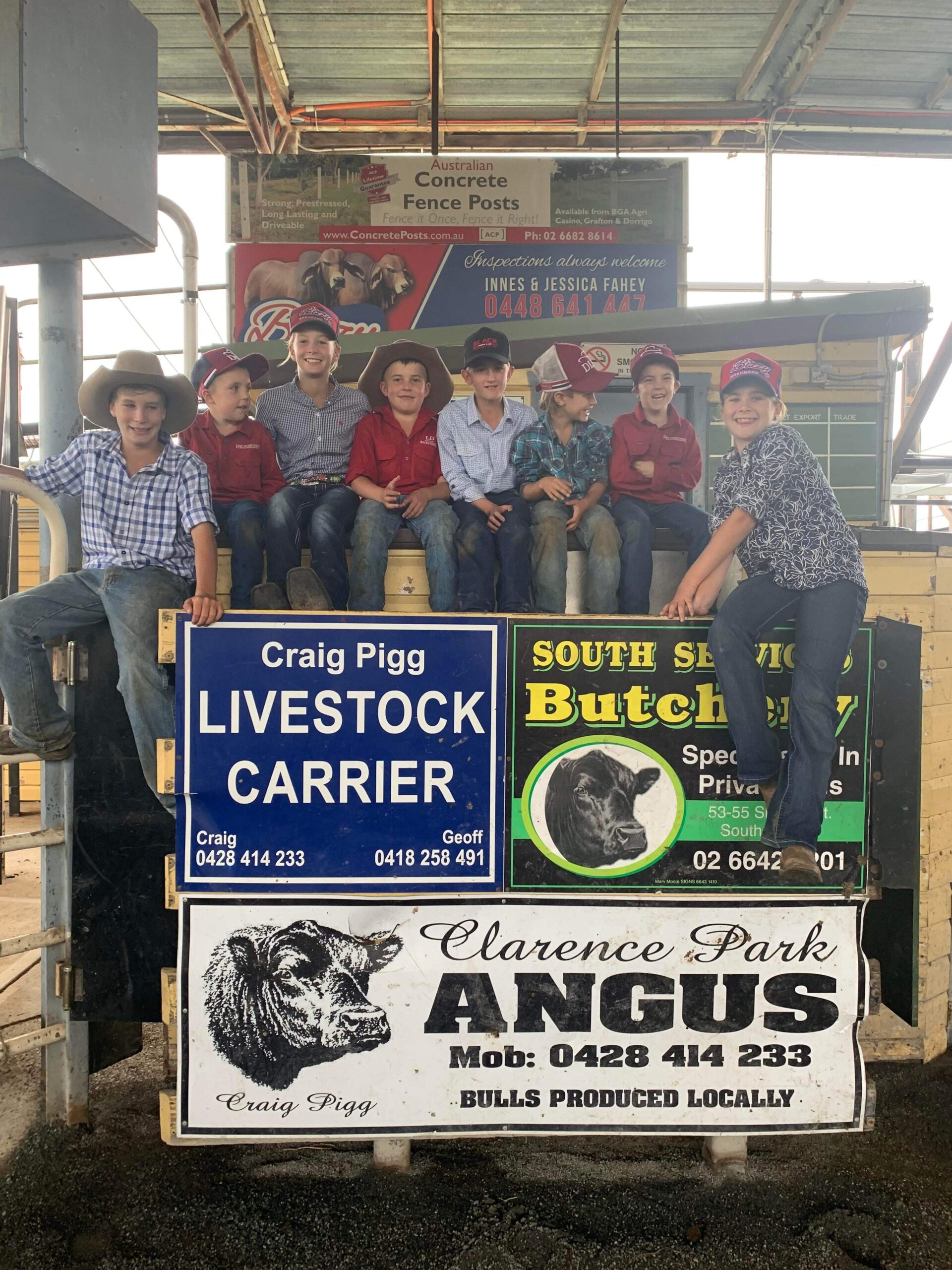 sale results - Bizzy Brahmans