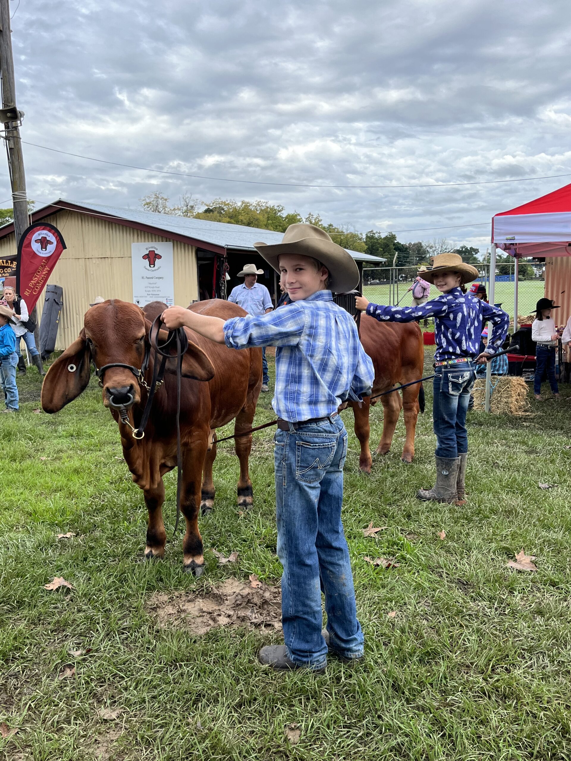 grafton show 2022 - Bizzy Brahmans