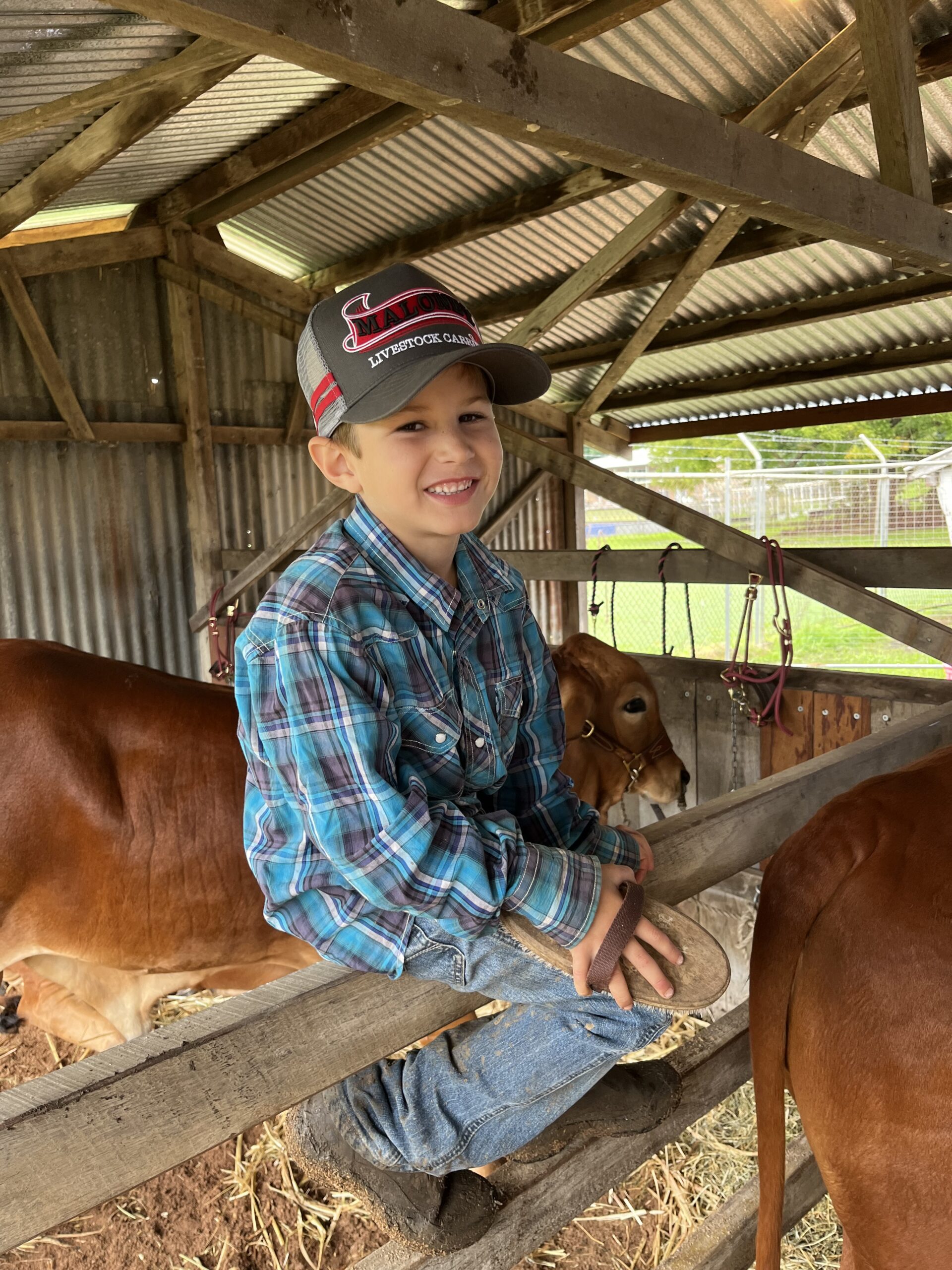 grafton show 2022 - Bizzy Brahmans
