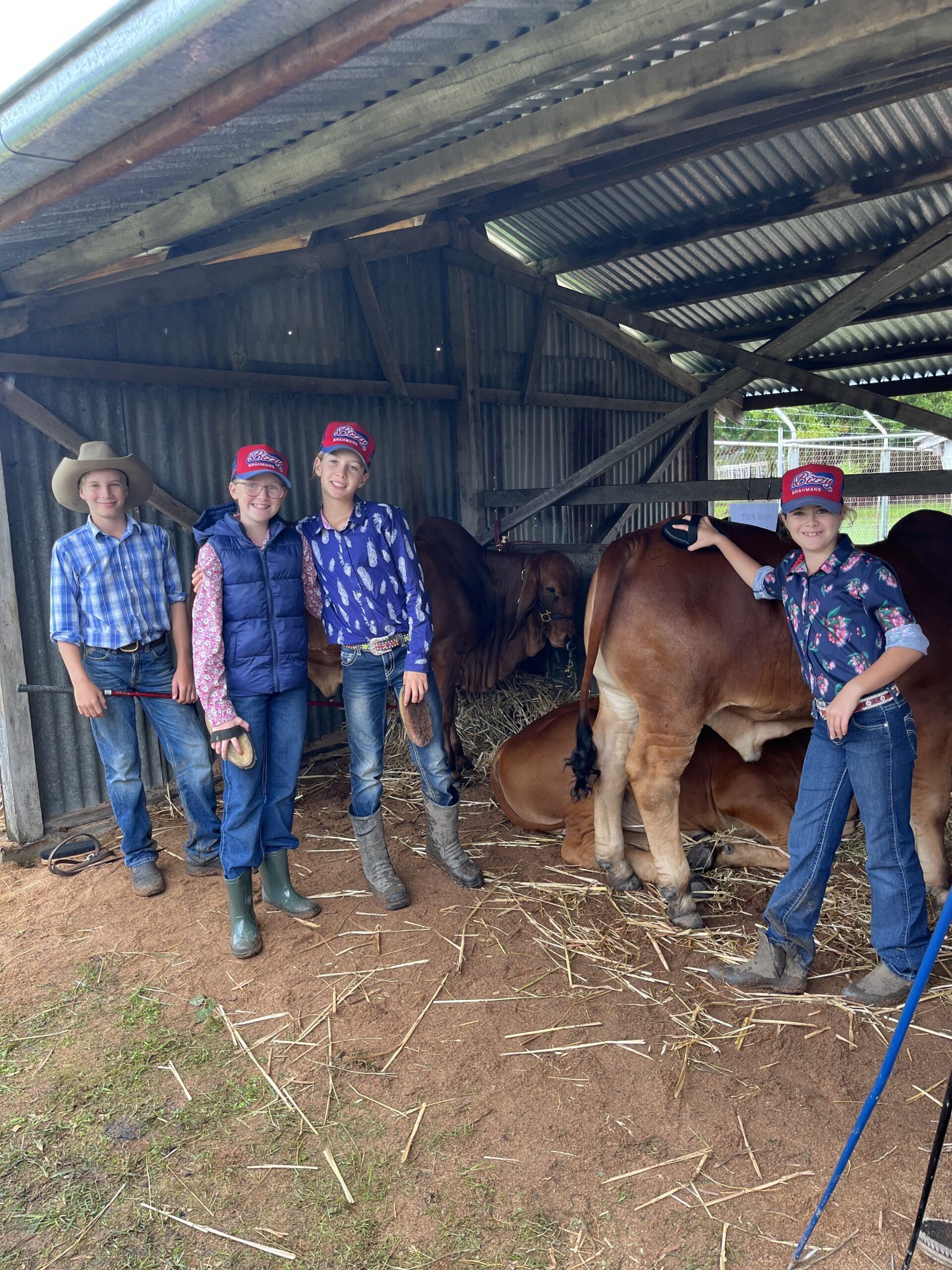 grafton show 2022 - Bizzy Brahmans