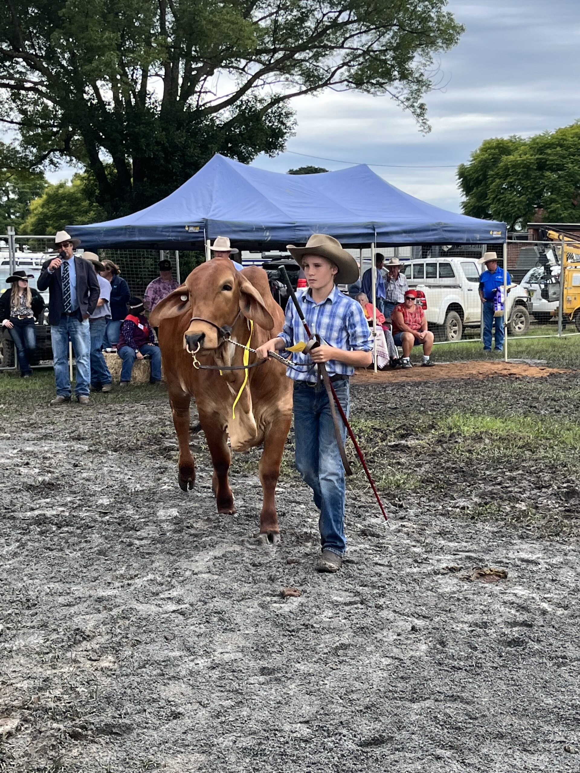grafton show 2022 - Bizzy Brahmans