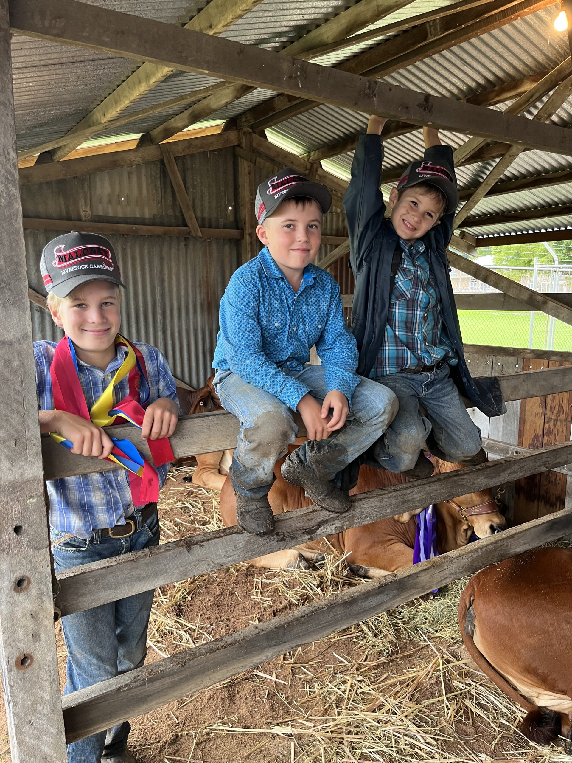 grafton show 2022 - Bizzy Brahmans